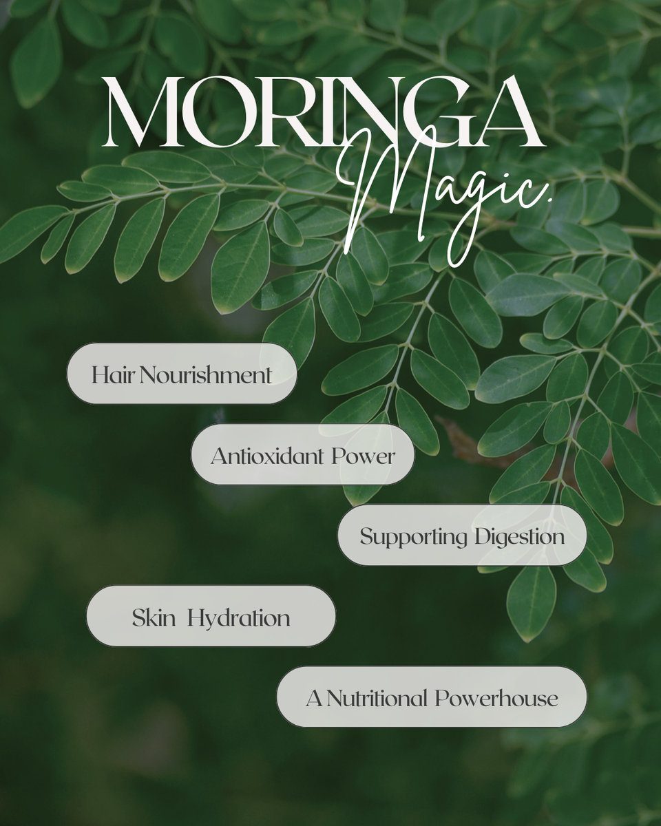 Wellness Inside and Out: The Incredible Benefits of Moringa – Moringa ...